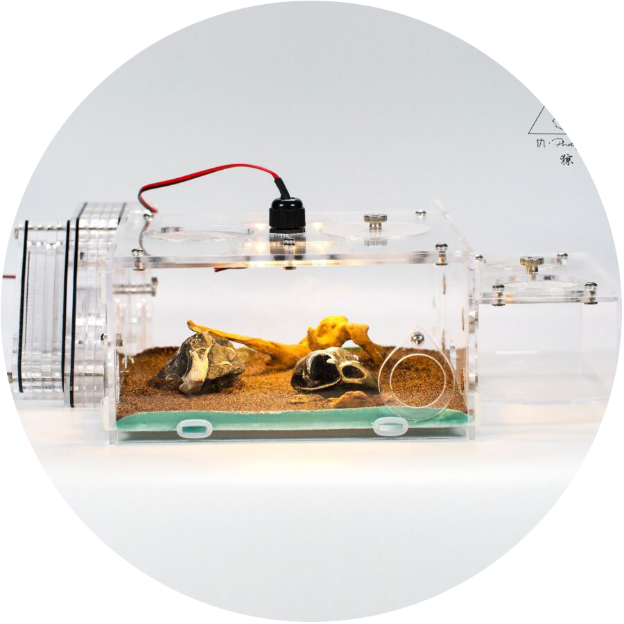 Invertebrates Enclosures – My Home Nature