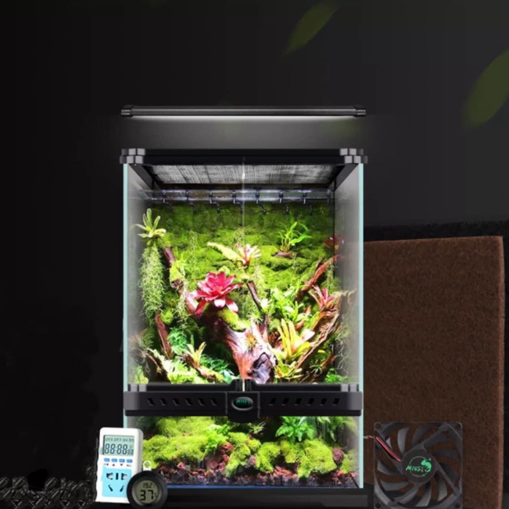 Rainforest Terrarium Kit for Sale | My Home Nature