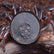 Chinese Hourglass Spider (Cyclocosmia ricketti) for Sale | My Home Nature