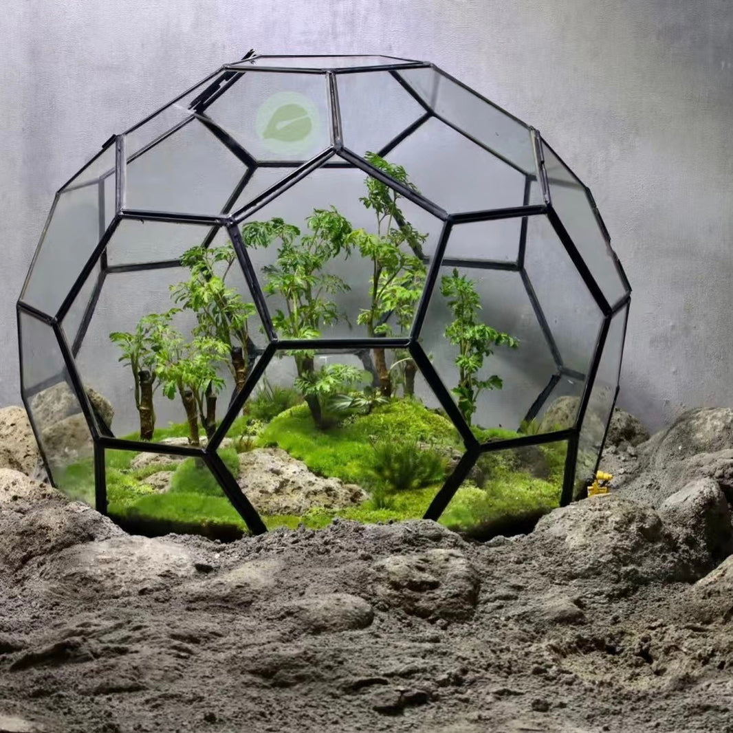 Terrarium Tank – My Home Nature